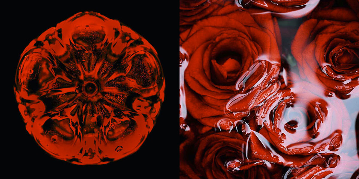 Eric Maillet. Plastic Drop: in mostra l'estetica delle bottiglie di ...