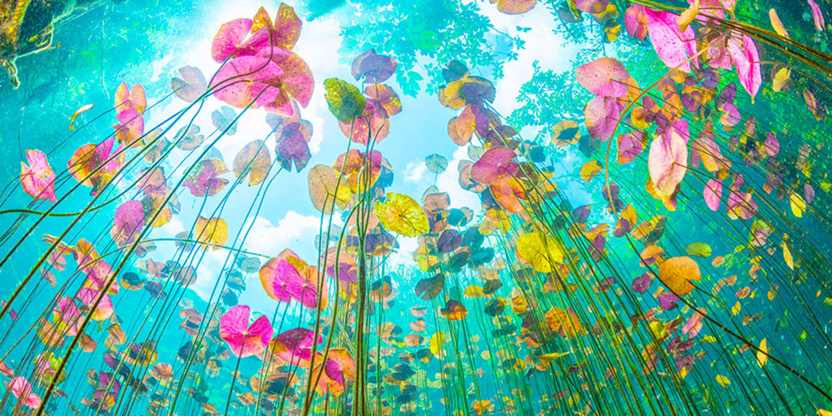 Chris Gug racconta la sua fotografia subacquea - FOTO Cult