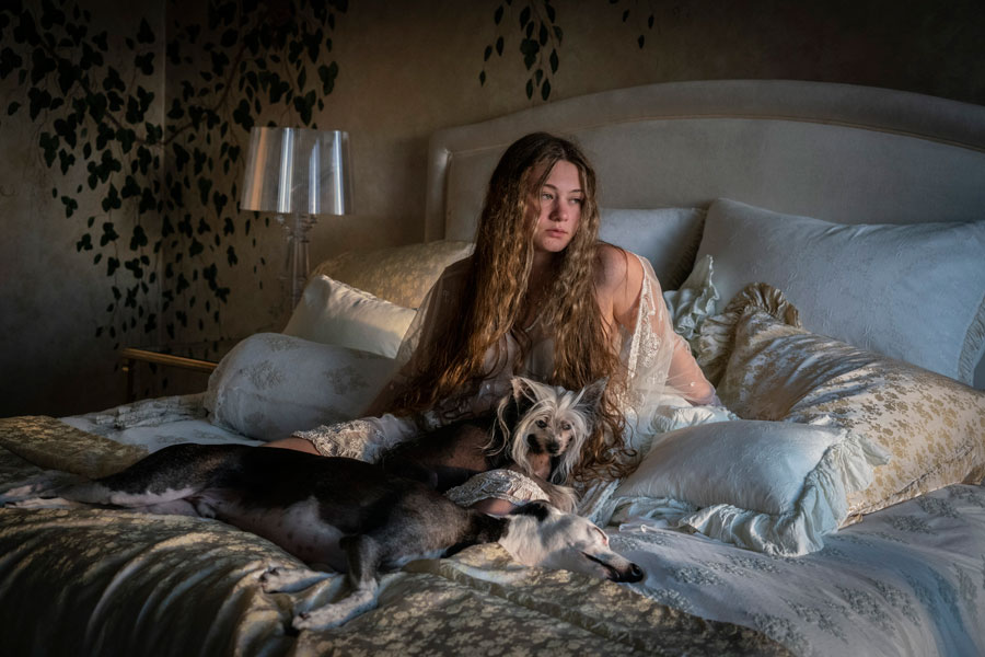 Robin Schwartz. Amelia & the Animals - FOTO Cult