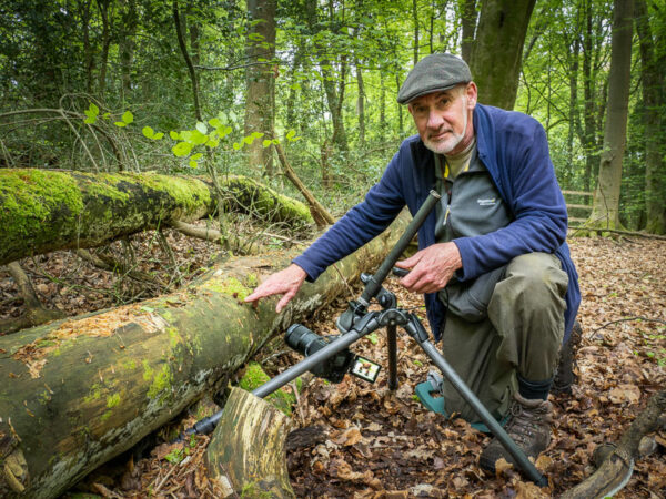 Ottantotto macrofotografie in focus stacking trasformano microrganismi ...