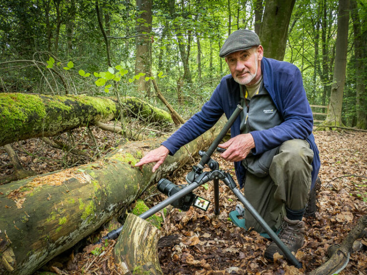 Ottantotto macrofotografie in focus stacking trasformano microrganismi ...