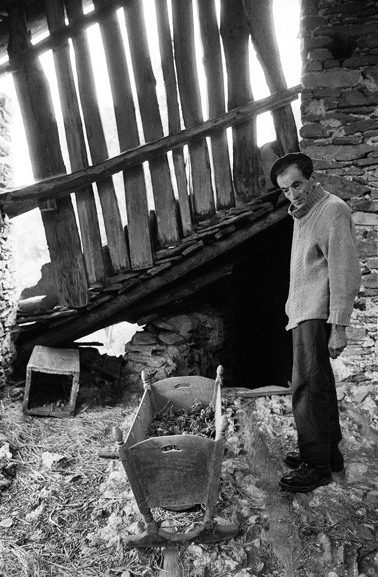 Paola Agosti: fotografare storie di migrazione e di un mondo contadino ...