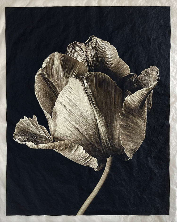Jan C. Schlegel: un portento della fotografia analogica e delle ...