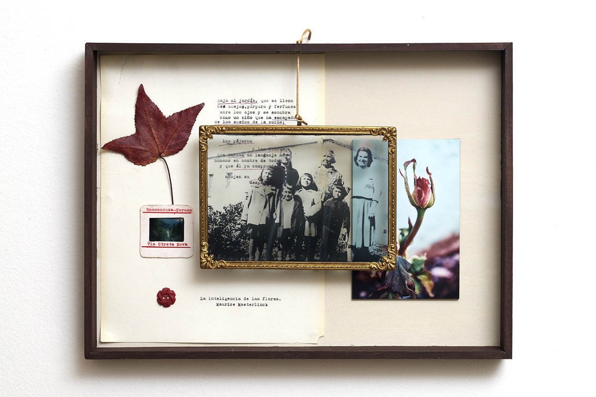 XV Premio PHOTO IILA: fotografia lationamericana e italiana ...