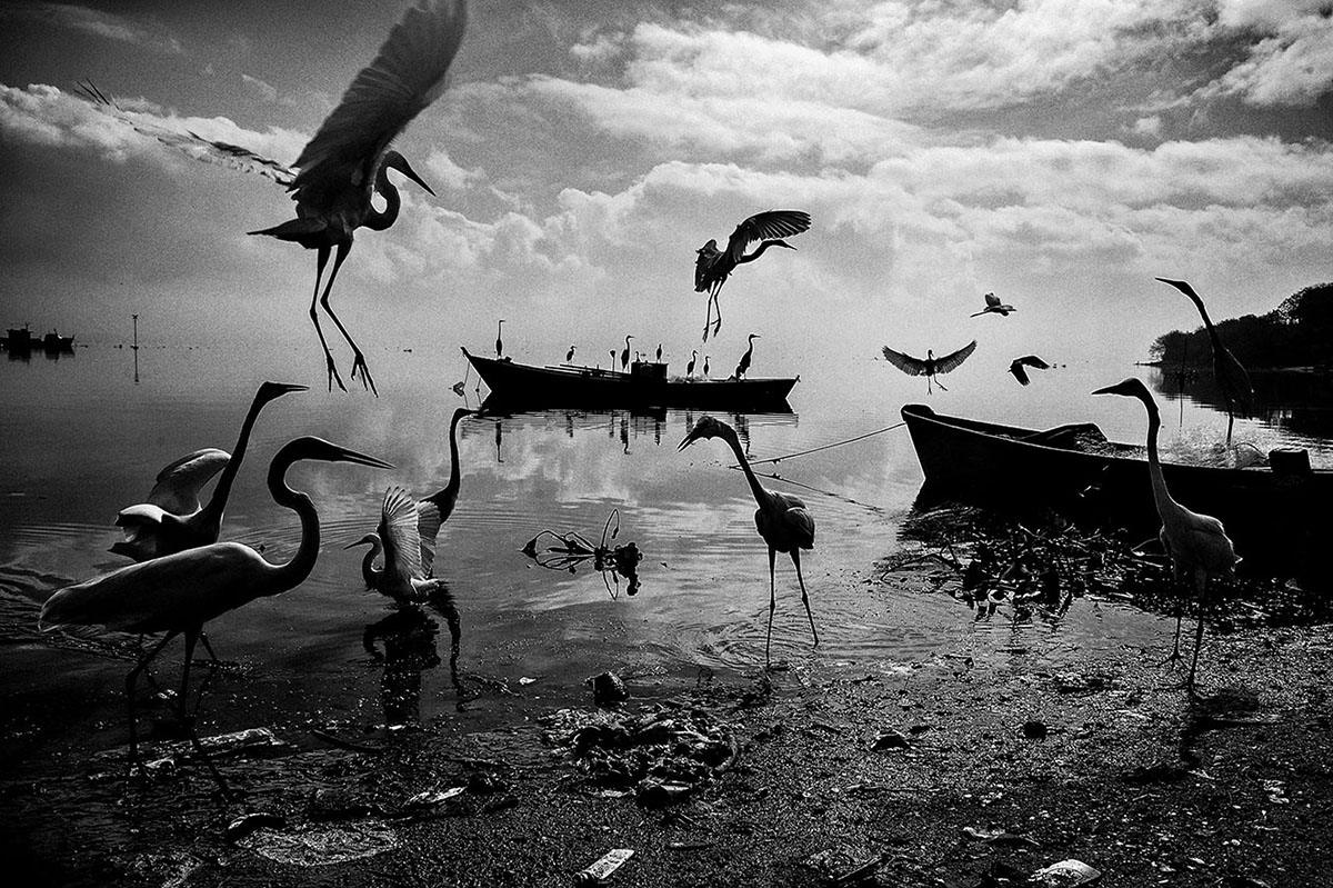 Dal foro stenopeico ai fotografi Magnum: l’imperdibile appuntamento con ...