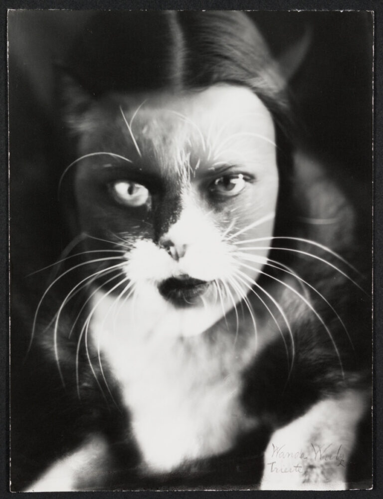 Wulz, il ritratto dell'evoluzione fotografica - FOTO Cult