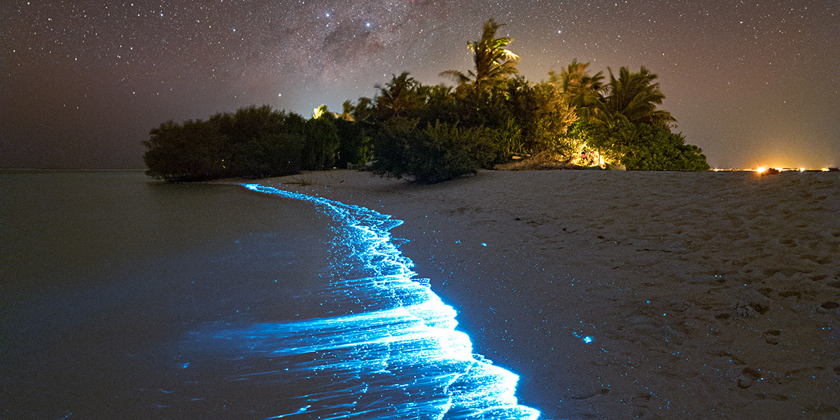 “Lava blu” a San Valentino: Petr Horalek conquista il pubblico dell ...