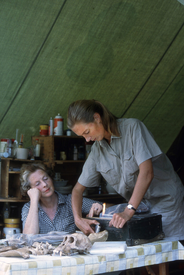 Jane Goodall, una vita per la Natura tra scienza e immagine - FOTO Cult