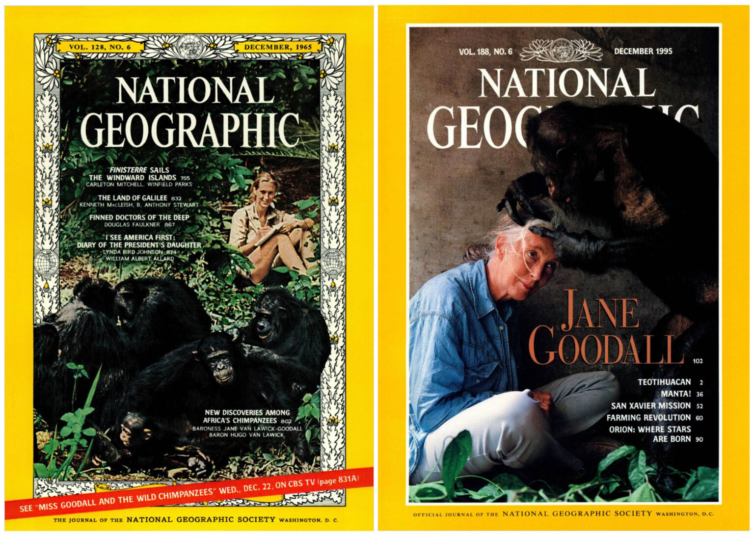 Jane Goodall, una vita per la Natura tra scienza e immagine - FOTO Cult