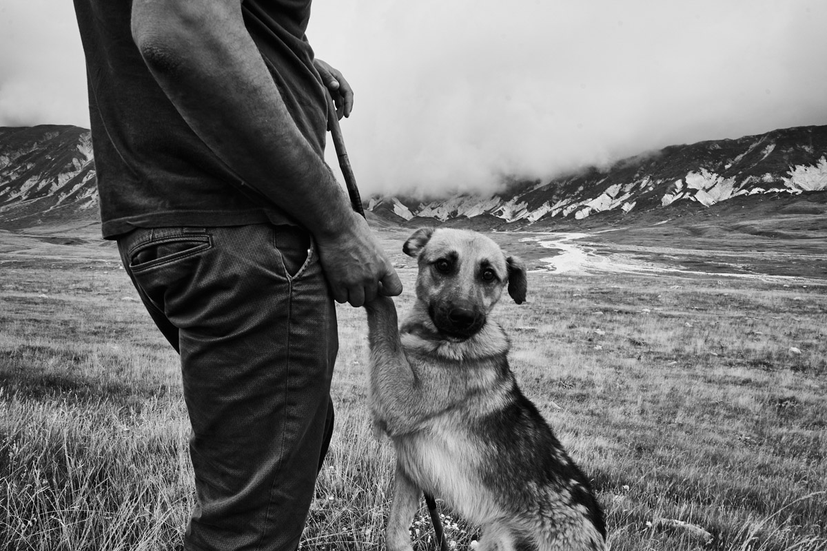 Sei mesi, una fotocamera e otto pastori d’Abruzzo - FOTO Cult
