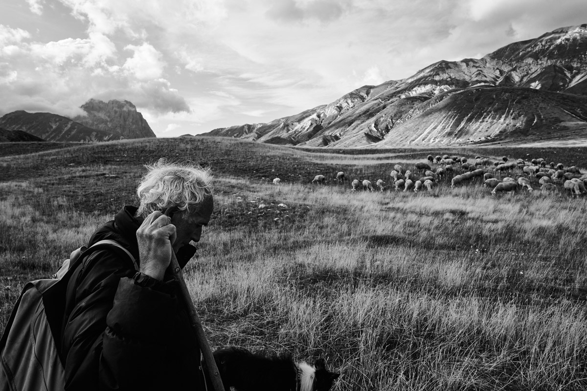 Sei mesi, una fotocamera e otto pastori d’Abruzzo - FOTO Cult
