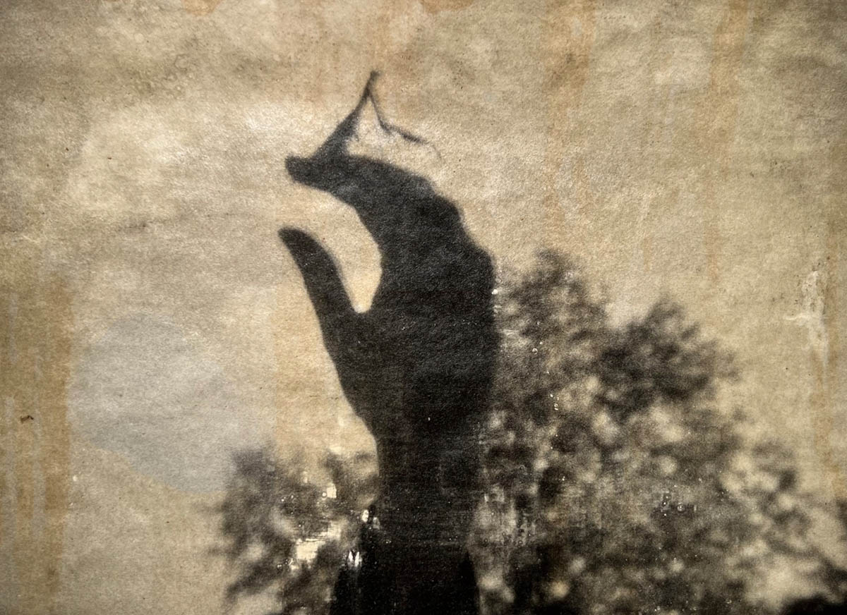 Guido Gazzilli. Voci dal profondo… di una foresta - FOTO Cult
