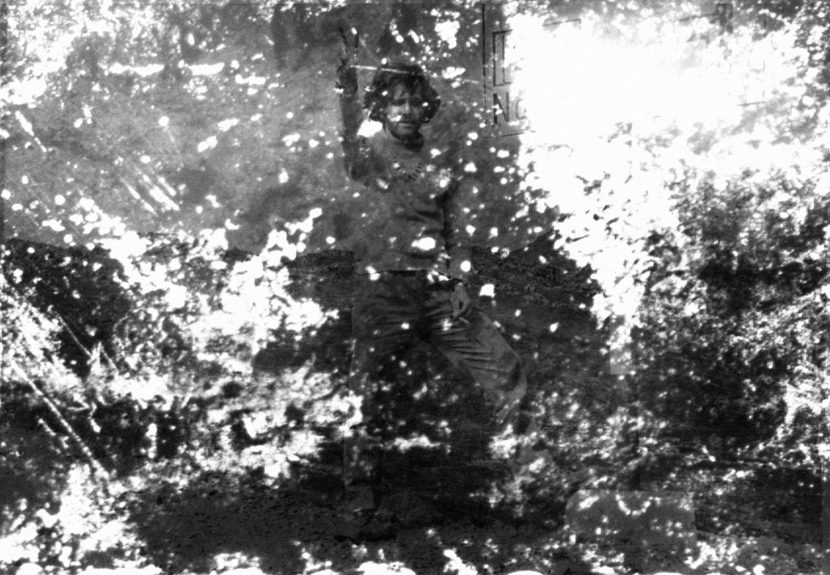 Guido Gazzilli. Voci dal profondo… di una foresta - FOTO Cult